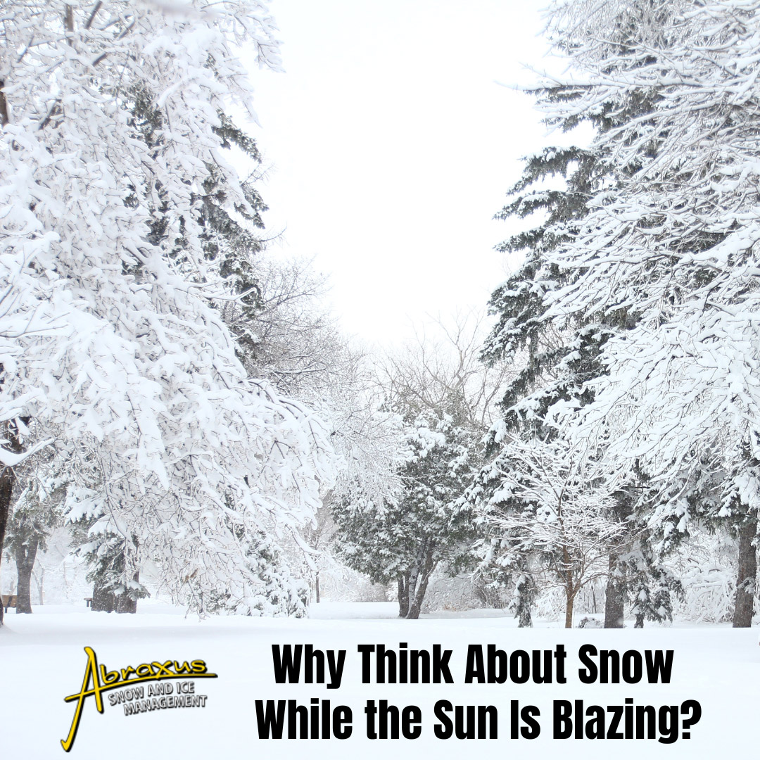 Why Think About Snow While the Sun Is Blazing? - Abraxus Snow & Ice ...